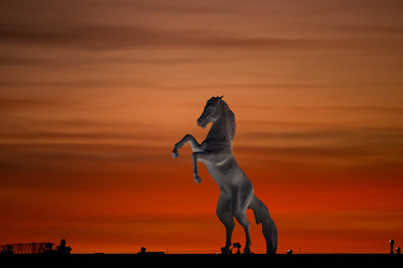 Meet Henry: Thomas is in good company with one of Broncos Country’s ...